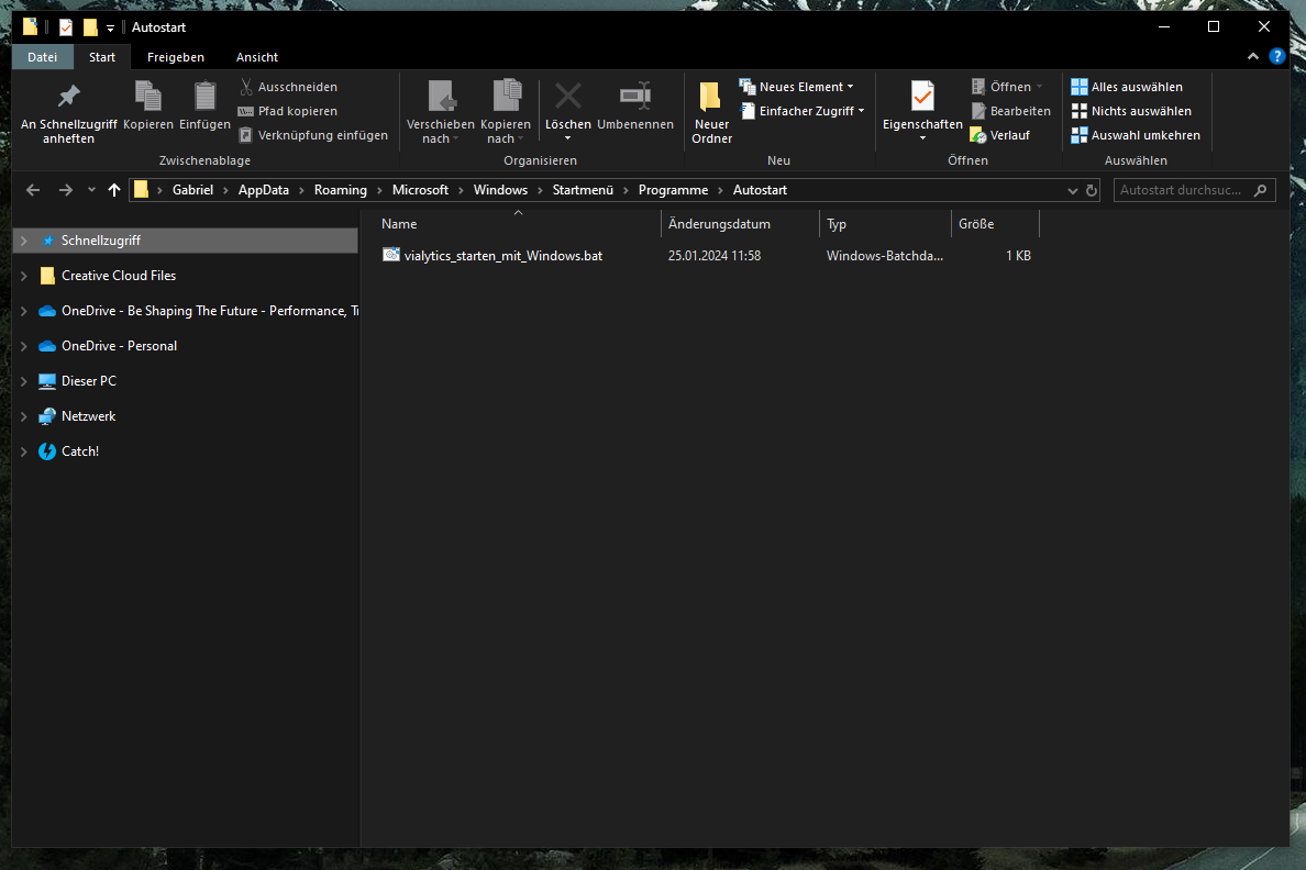 Wie starte ich das vialytics Web-System automatisch mit Windows?