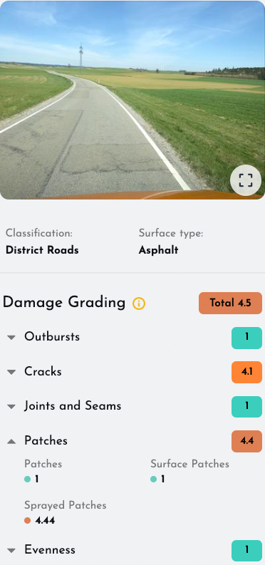 How does the vialytics grading logic develop?
